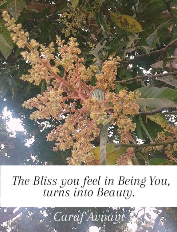 What Really Makes You Beautiful – CARAF AVNAYT